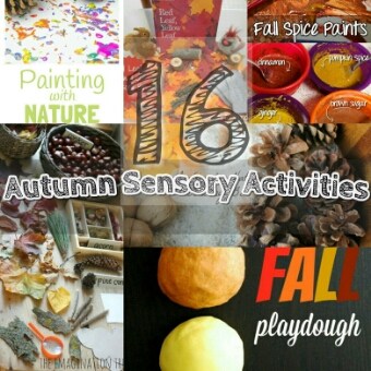 16 Autumn Sensory Activities - Pocketful of PebblesPocketful of Pebbles